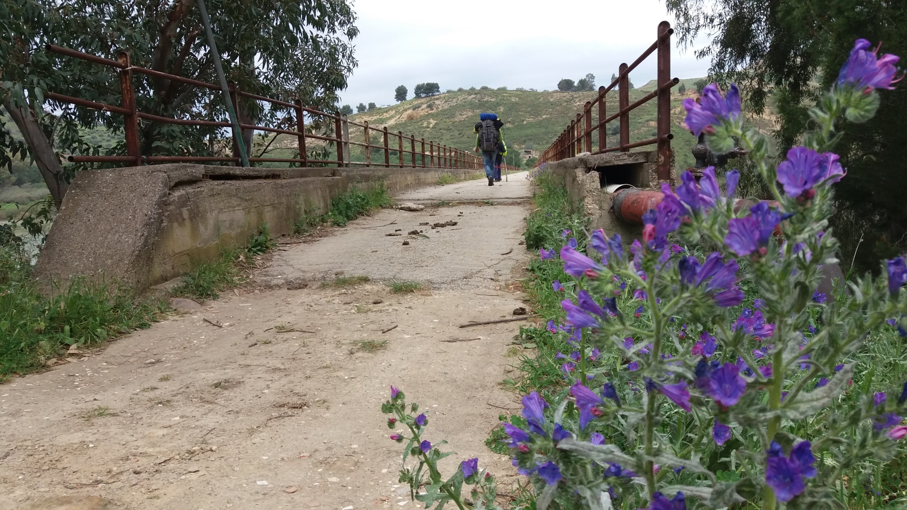 L'Antica Trasversale Sicula apre anche alle due ruote - Itacanotizie.it