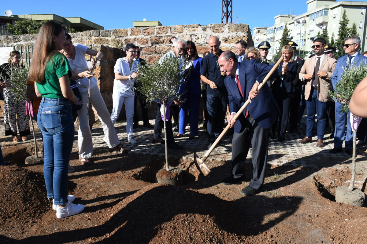 Anniversario Padre Puglisi, Schifani pianta ulivi in ricordo di 20 ...